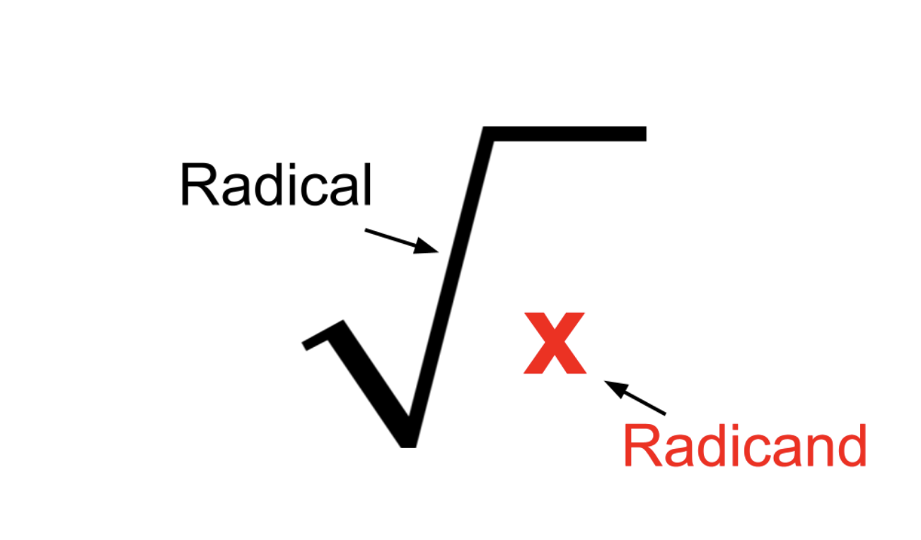 Undoing Exponents: Radicals and Roots